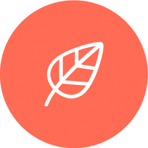 Tootsi Impex - BocoBoco